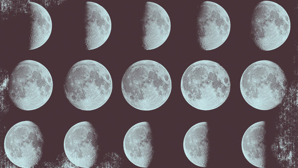 Hooked on the Moon: How to Use the Solar Lunar Table for Better Fishin ...